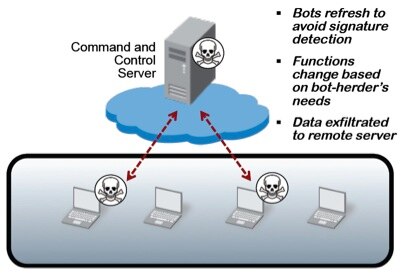 What is a Botnet? - Palo Alto Networks